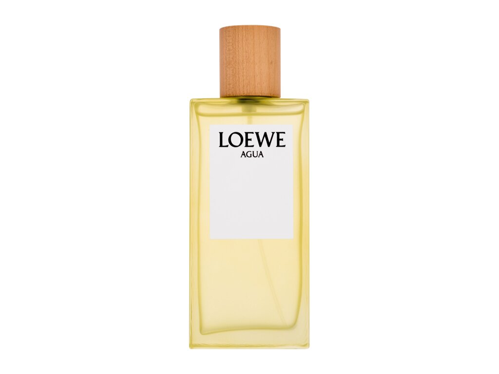 Loewe Agua de Loewe EDT 100 ml UNISEX | Internetová nákupní galerie